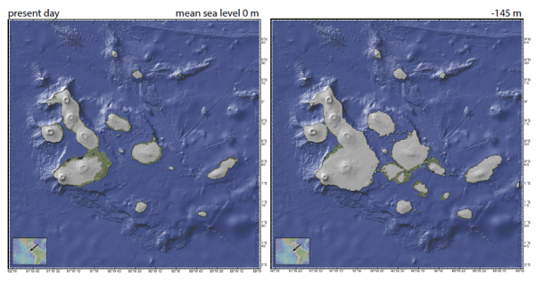 Snakes on a chain: sea level change and evolution on the Galapagos ...