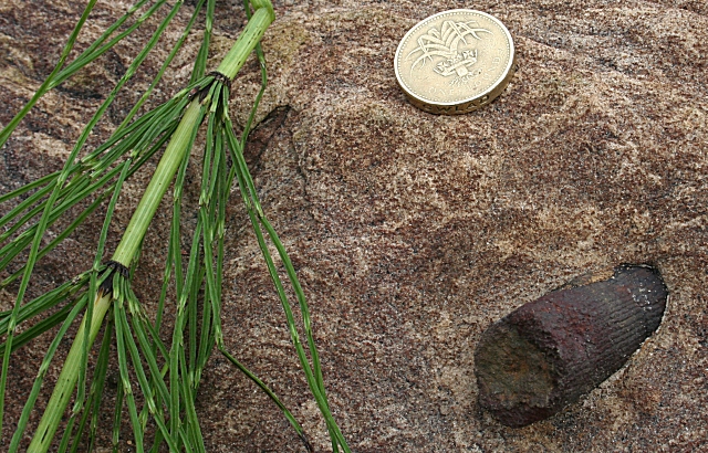 Door 12: Where’s Willy – Part 2! | The Geological Society Blog