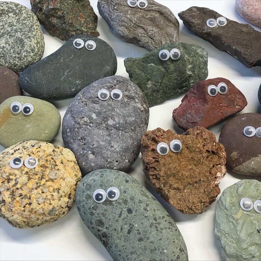 Diversity, Equality and Inclusion at the Geological Society | The ...