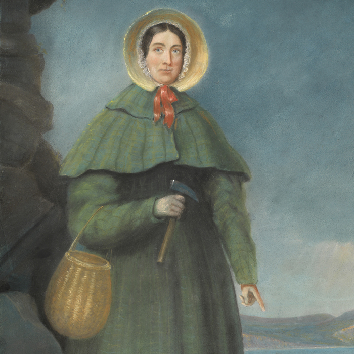 Mary Anning goes home | The Geological Society Blog